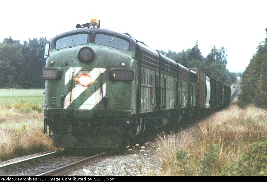 BN 804 Intalco Local